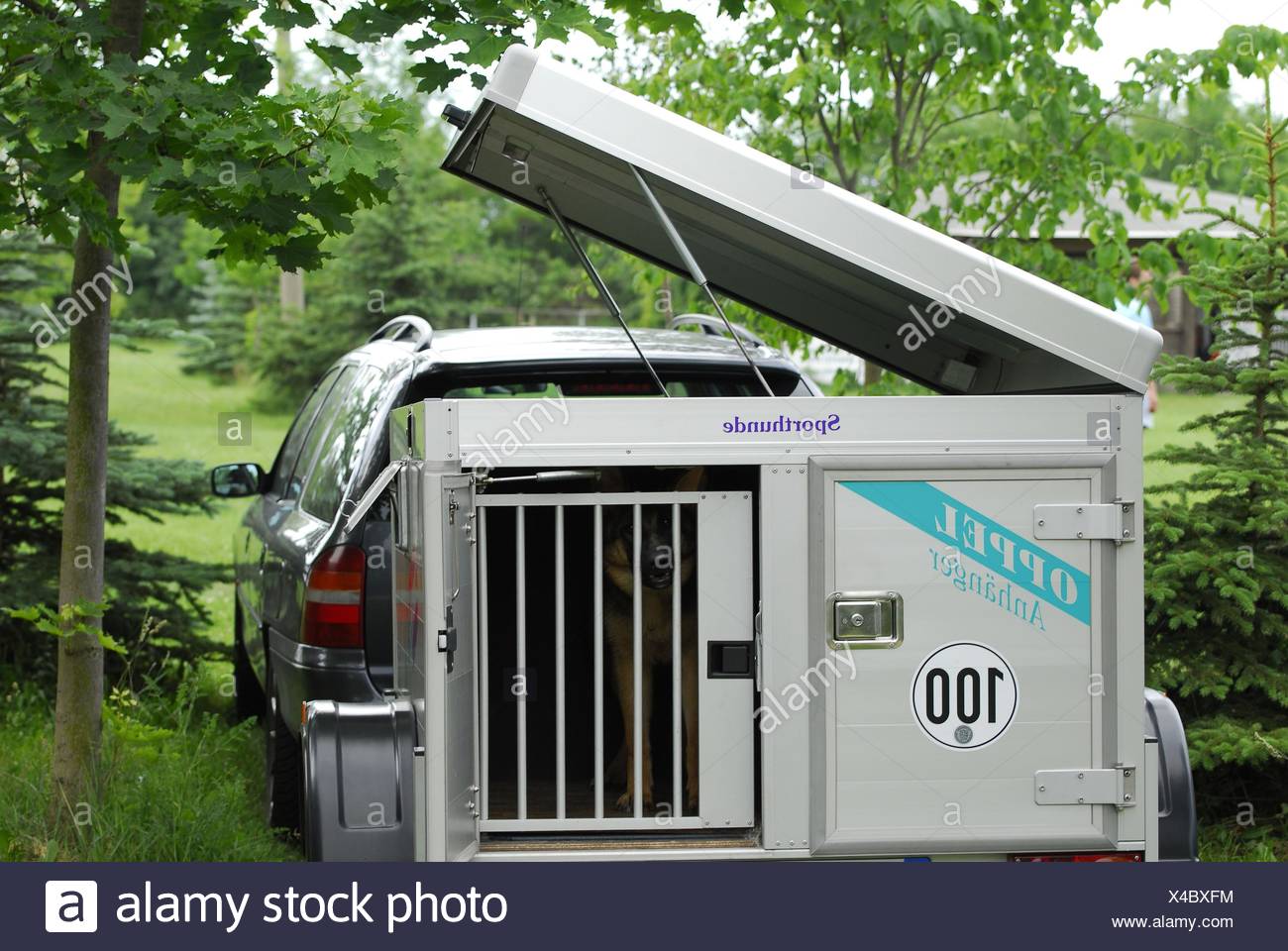 Animal Transport Cage High Resolution Stock Photography and Images - Alamy
