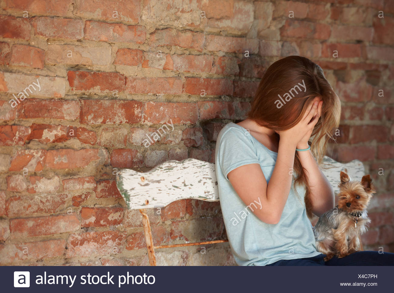 Crying Dog High Resolution Stock Photography and Images - Alamy