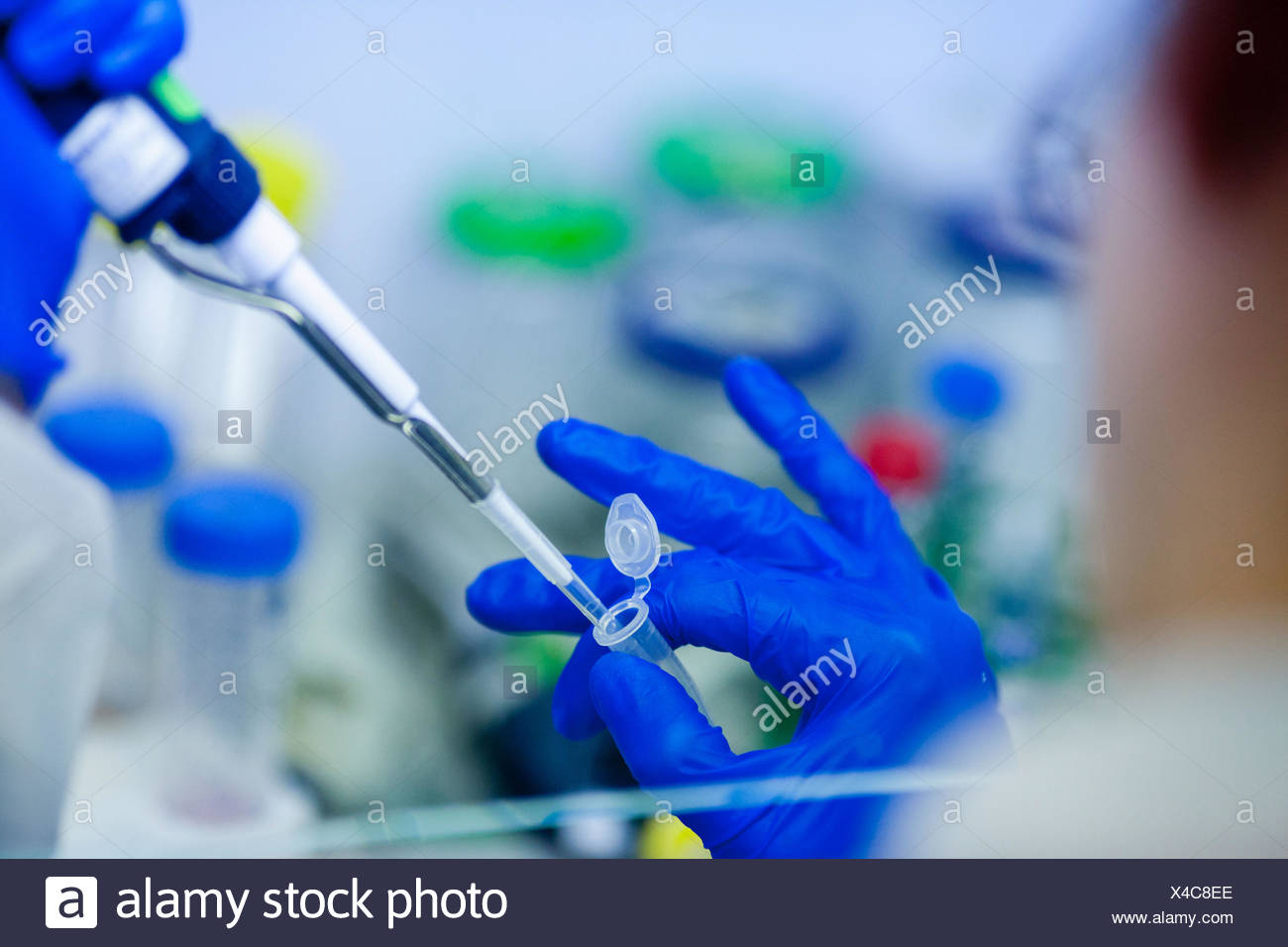 Stem Cell Research Pipette High Resolution Stock Photography and Images ...