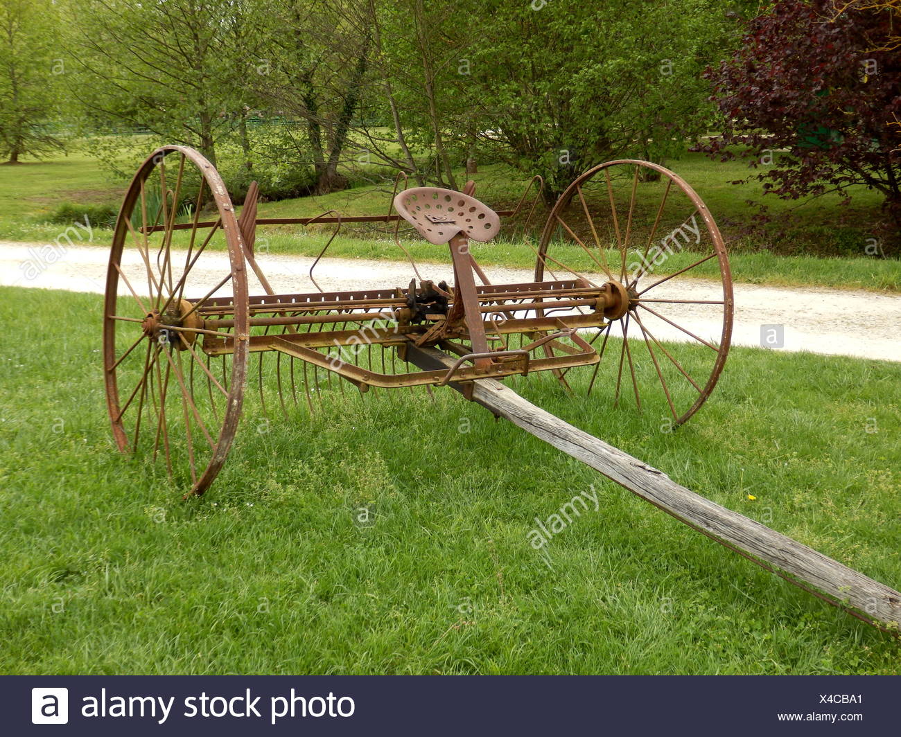Spring Tine High Resolution Stock Photography and Images - Alamy