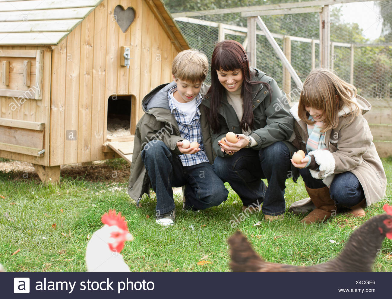 Children With Chickens High Resolution Stock Photography and Images - Alamy