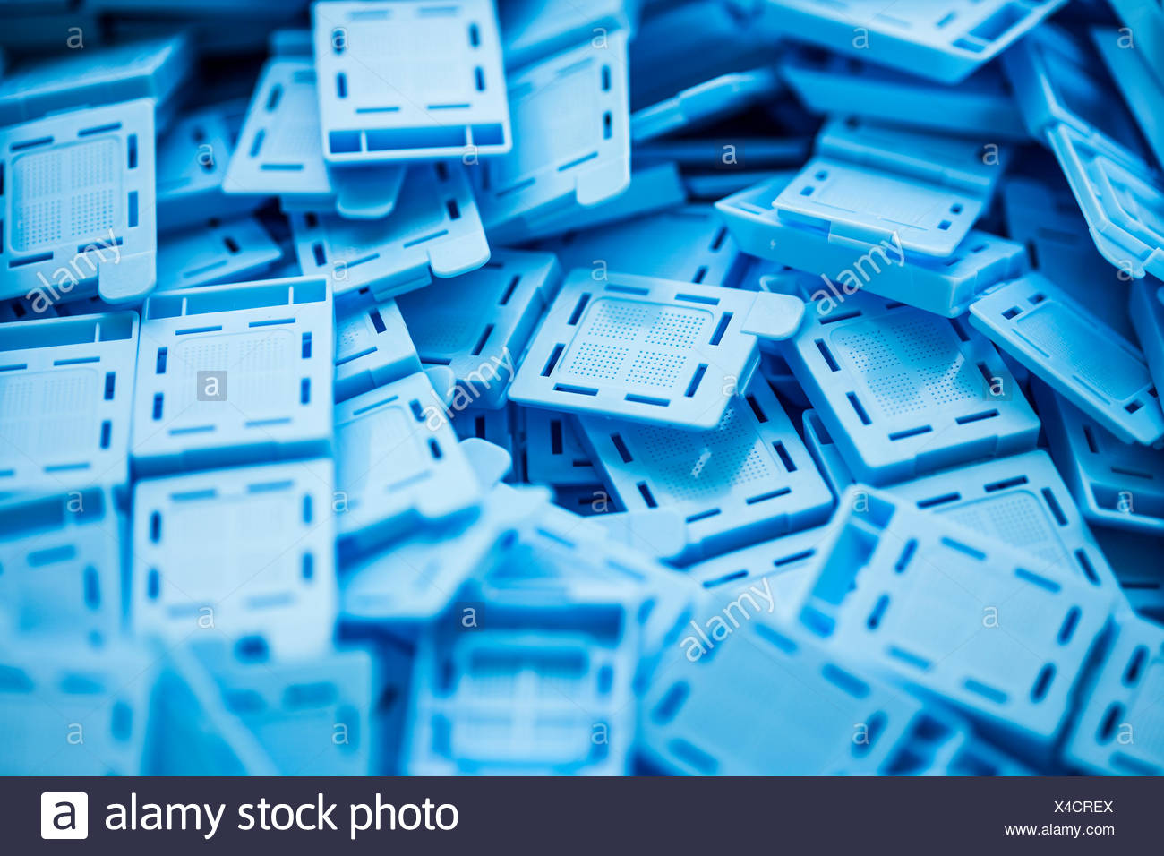 Histological Histology High Resolution Stock Photography and Images - Alamy