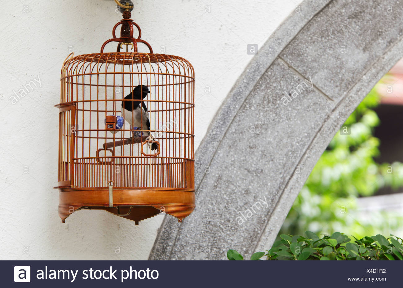 Bird Cage Hanging High Resolution Stock Photography and Images - Alamy