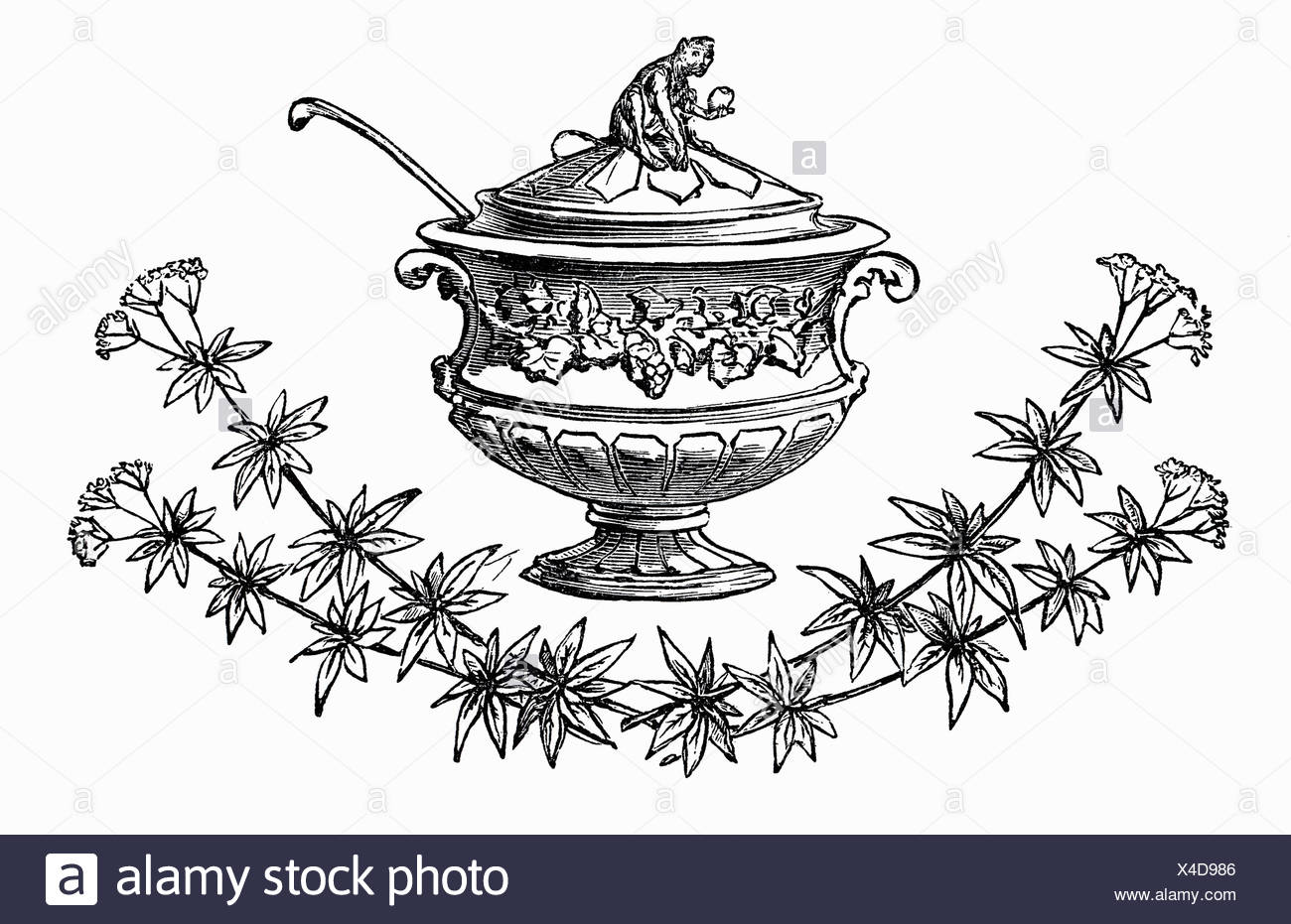 Soup Tureen Black and White Stock Photos & Images - Alamy