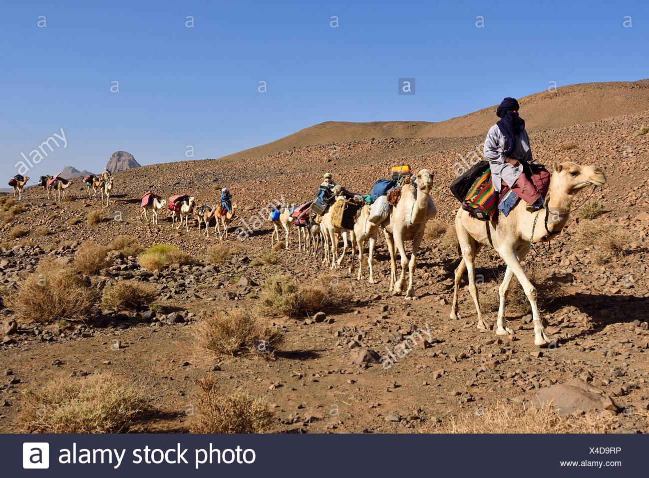 The Tuaregs Sahara Tamanrasset Algeria High Resolution Stock ...
