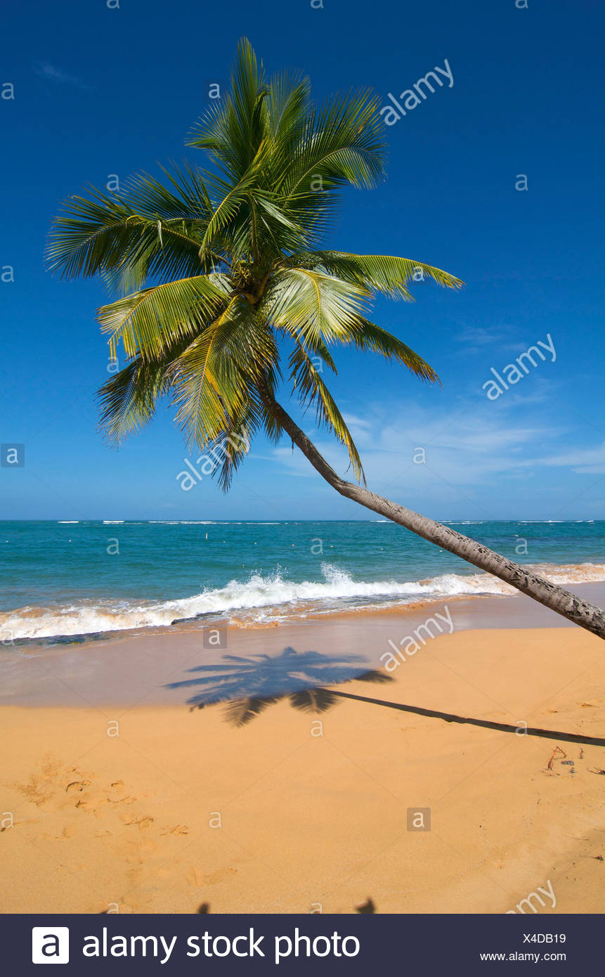 Loiza Puerto Rico High Resolution Stock Photography and Images - Alamy