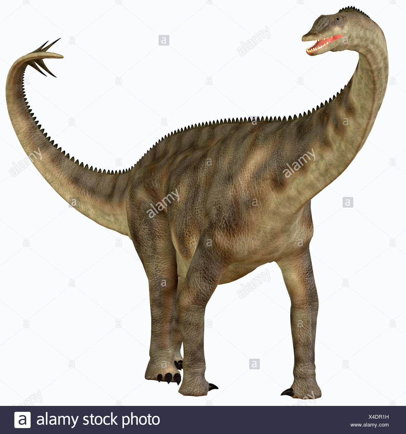 Spinophorosaurus Sauropod Dinosaur High Resolution Stock Photography ...
