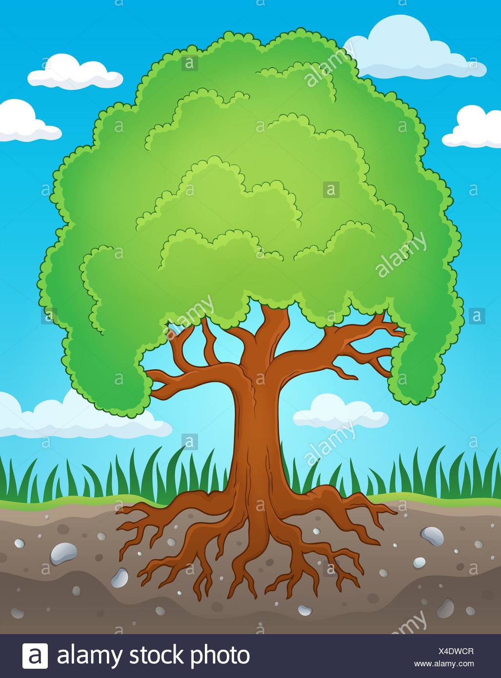 Tree Drawing With Roots High Resolution Stock Photography and Images ...