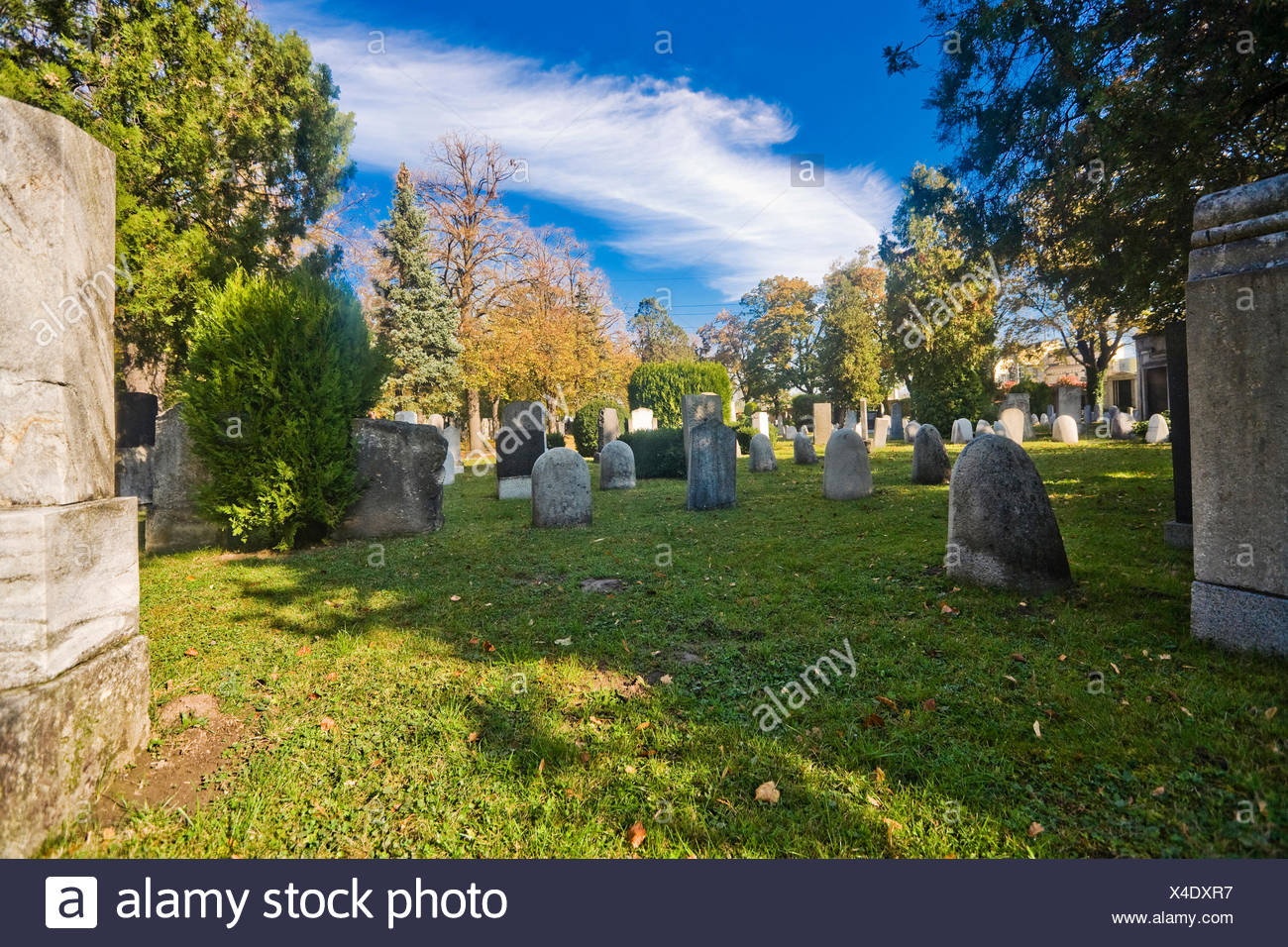 Central Cemetery Vienna High Resolution Stock Photography and Images ...