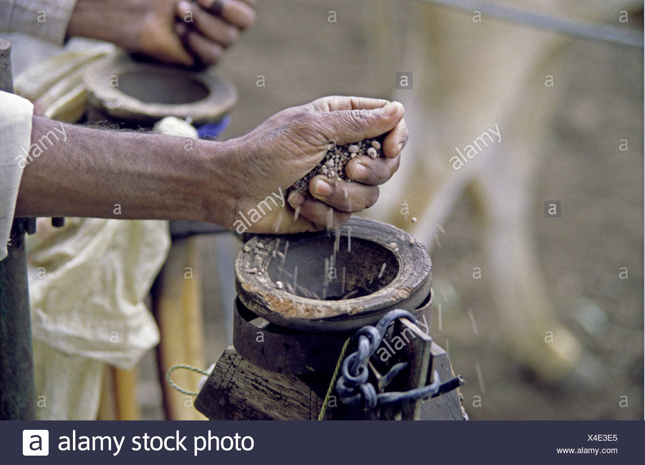 Farmer Sowing Seeds Stock Photos & Farmer Sowing Seeds Stock Images - Alamy