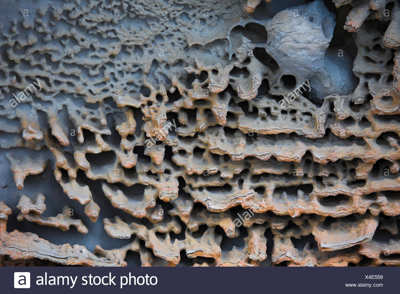 Honeycomb Weathering Stock Photos & Honeycomb Weathering Stock Images ...