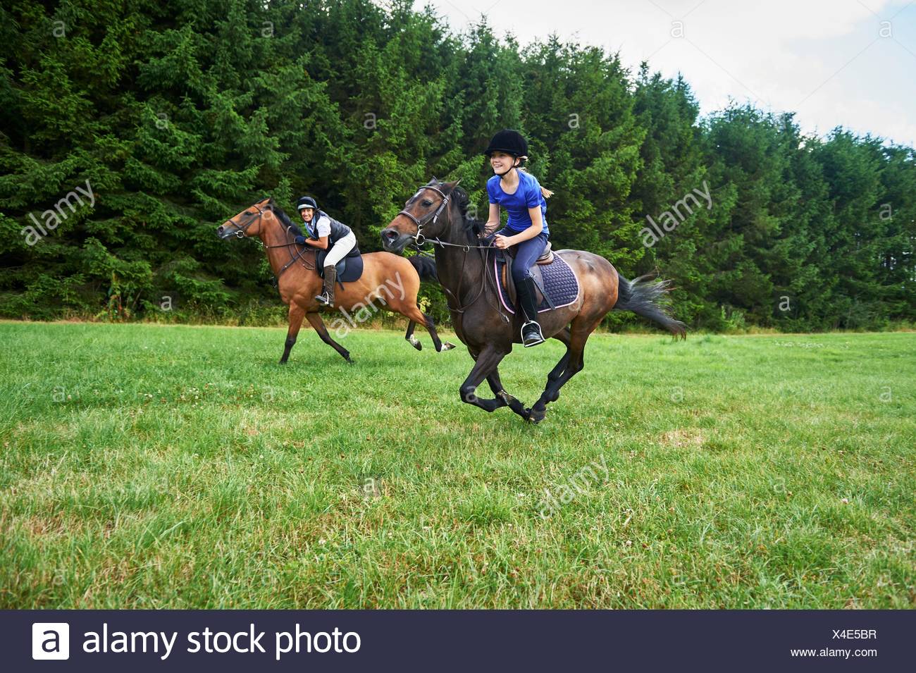 Riding Horse Side Saddle High Resolution Stock Photography and Images ...