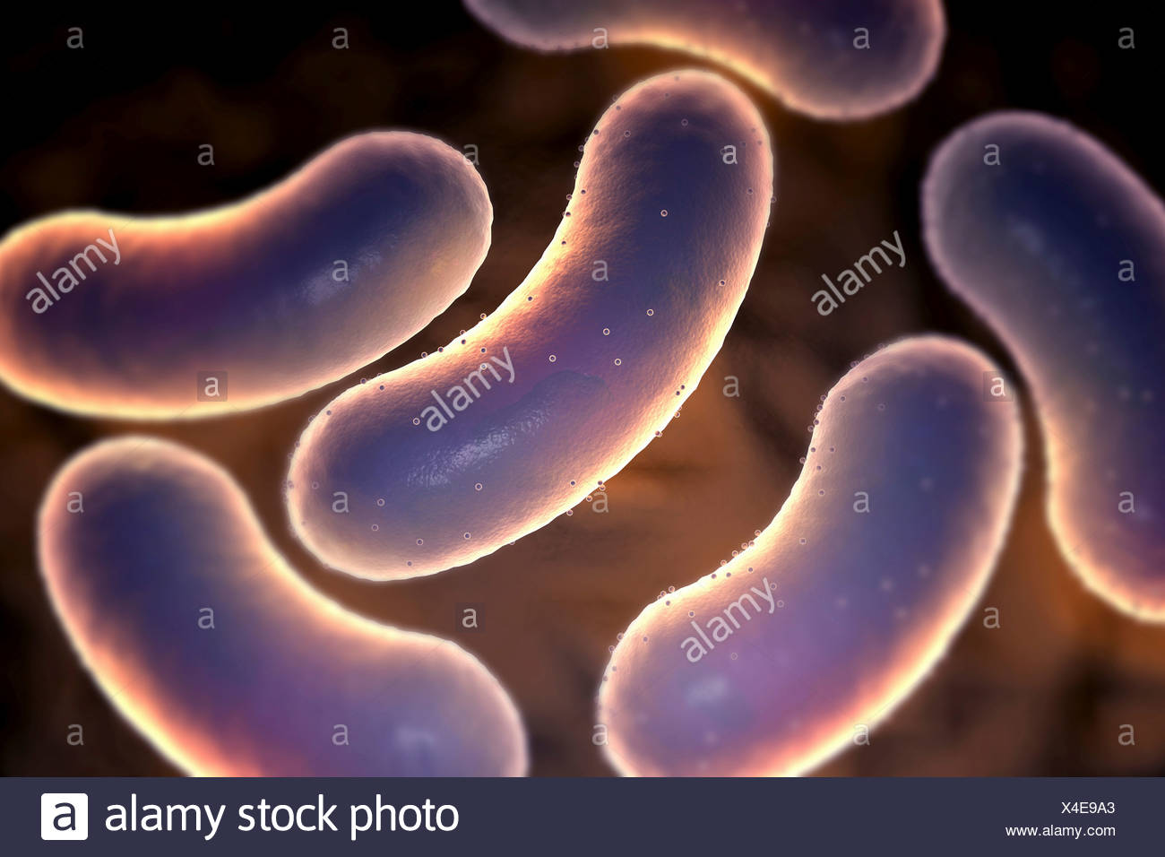 Rod Shaped Stock Photos & Rod Shaped Stock Images - Alamy