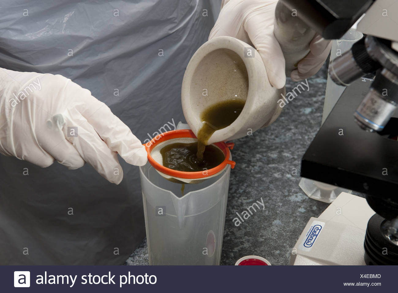 Count Sheep High Resolution Stock Photography and Images - Alamy