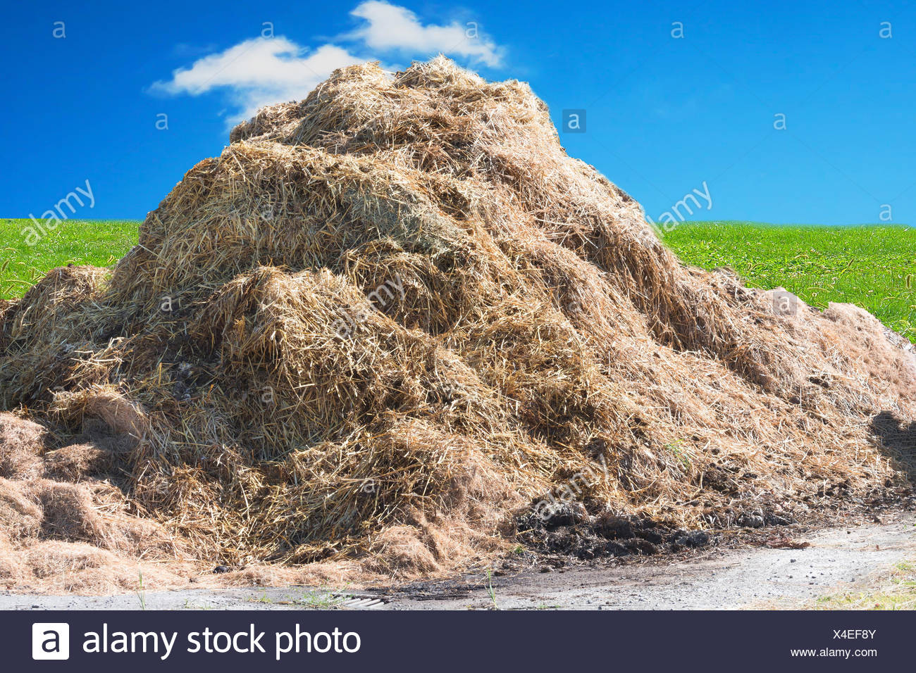 Pile Of Manure High Resolution Stock Photography and Images - Alamy