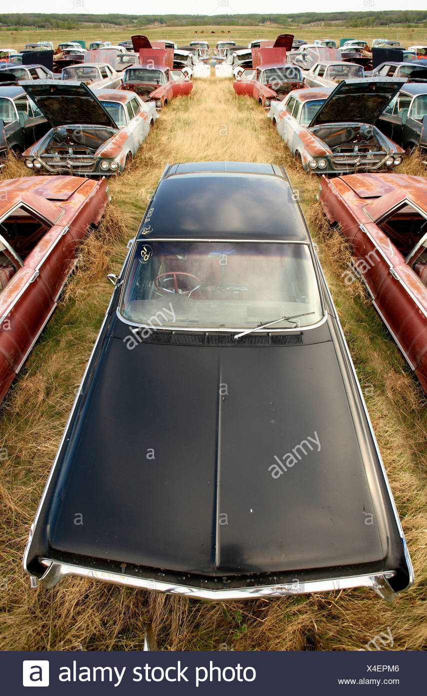 Car Pics High Resolution Stock Photography and Images - Alamy