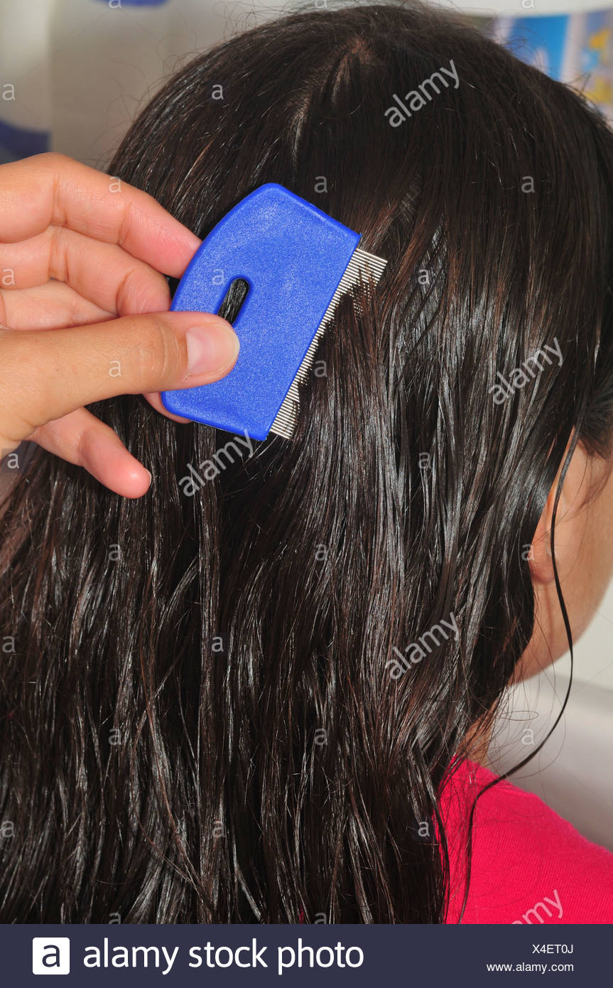 Nits High Resolution Stock Photography and Images - Alamy