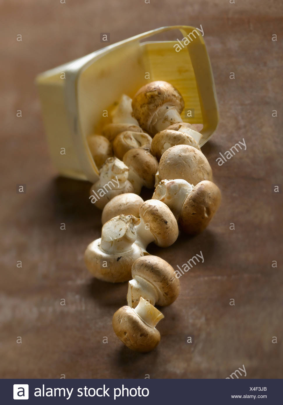 Punnet Of Mushrooms High Resolution Stock Photography and Images - Alamy