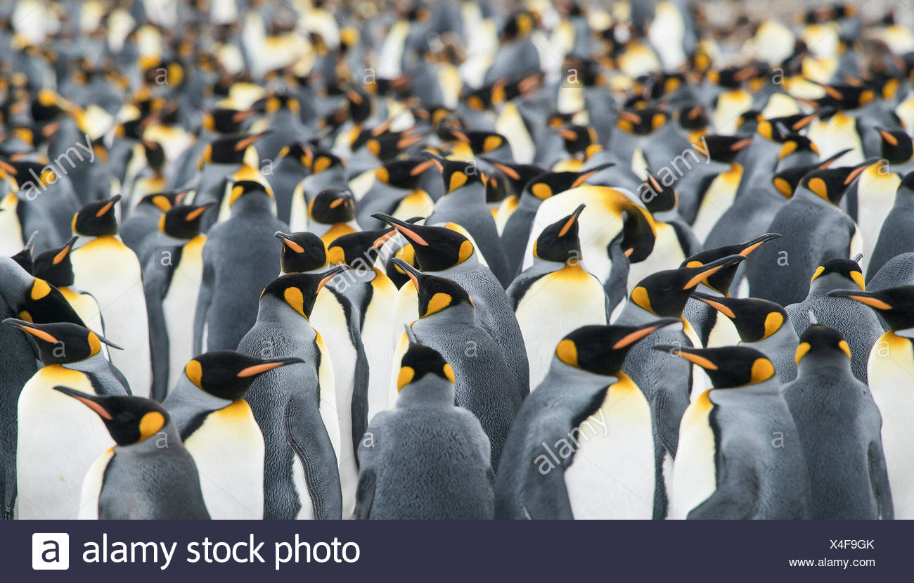 Stand Together High Resolution Stock Photography and Images - Alamy