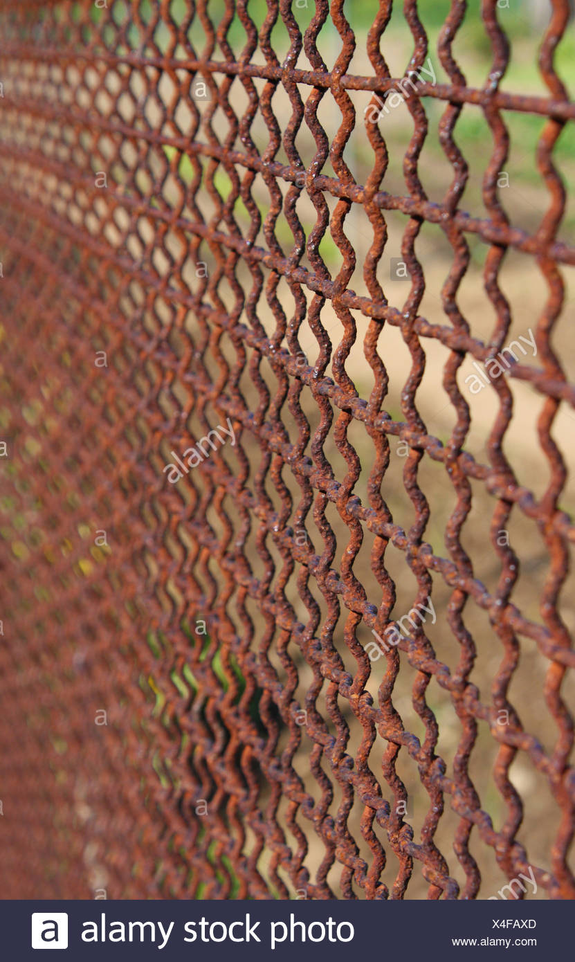 Iron Netting Stock Photos & Iron Netting Stock Images - Alamy