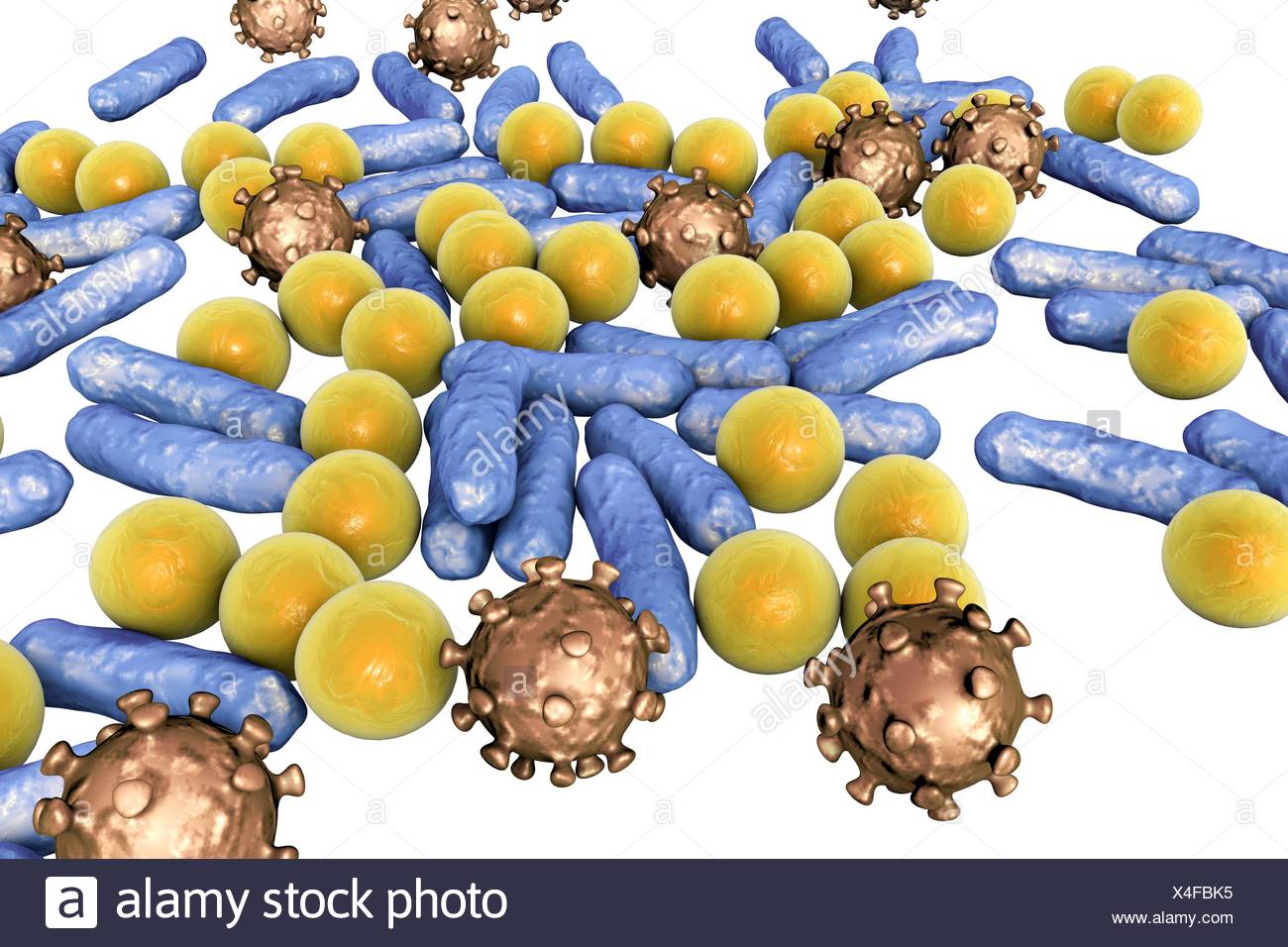 Bacterial Shapes High Resolution Stock Photography and Images - Alamy