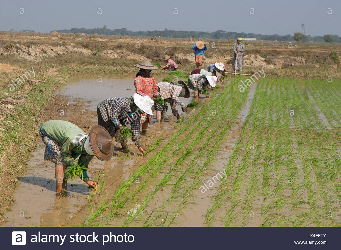 Hard Working Farmers High Resolution Stock Photography and Images - Alamy