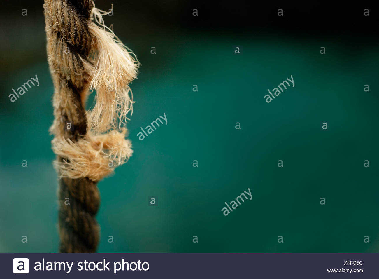 Ripping Up High Resolution Stock Photography and Images - Alamy
