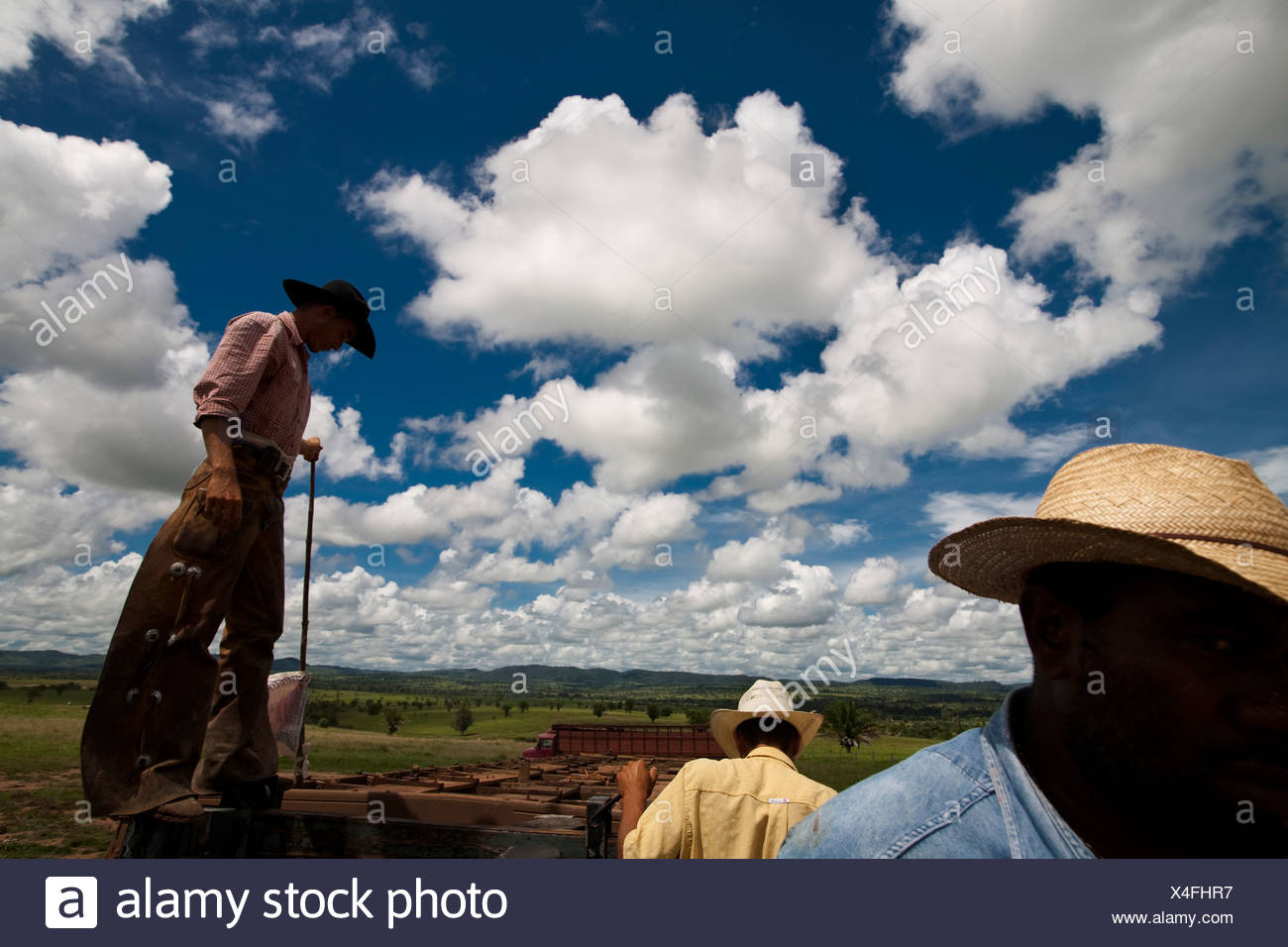 Cattle Loading High Resolution Stock Photography and Images - Alamy