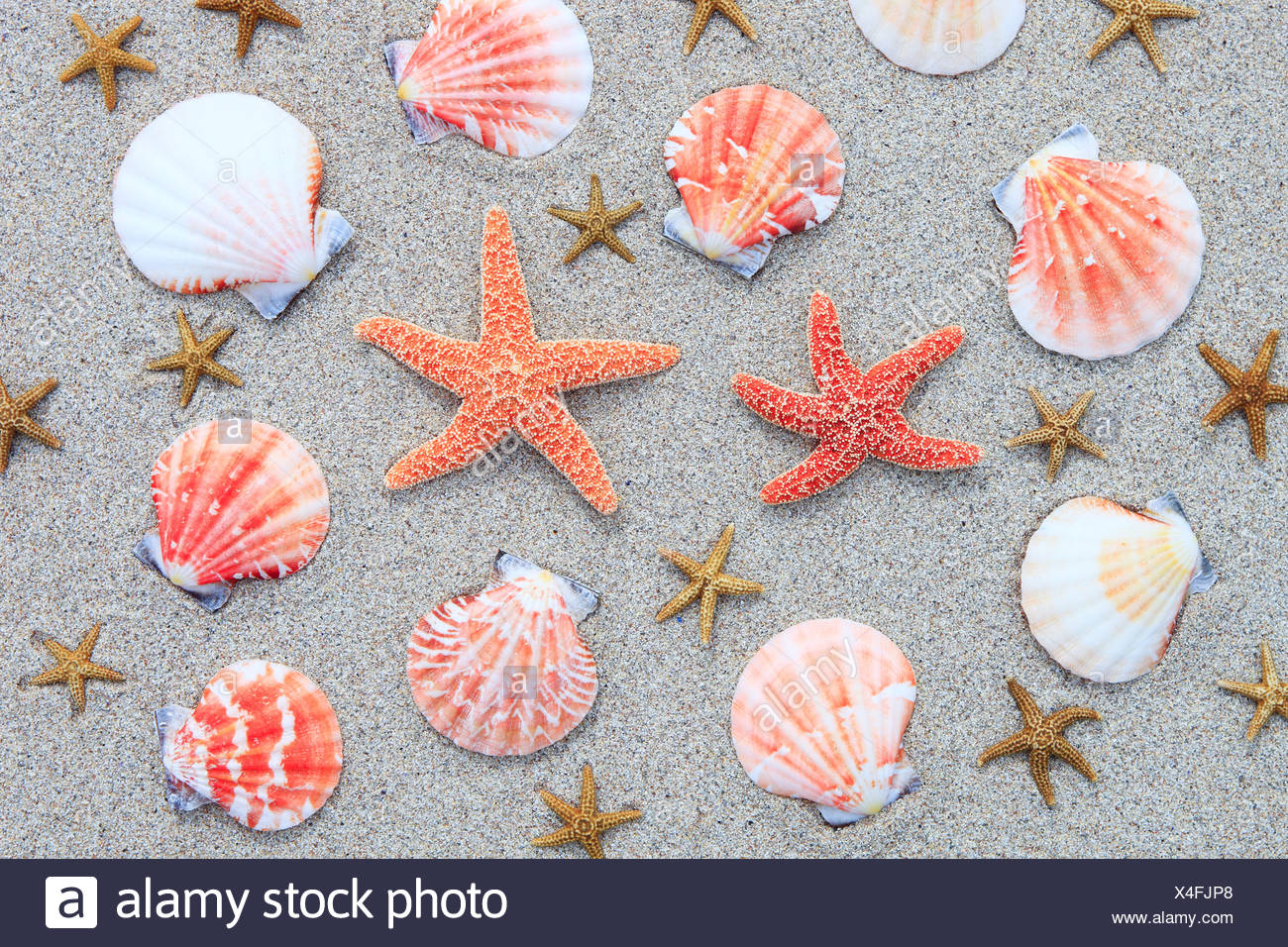 Vexillum High Resolution Stock Photography and Images - Alamy