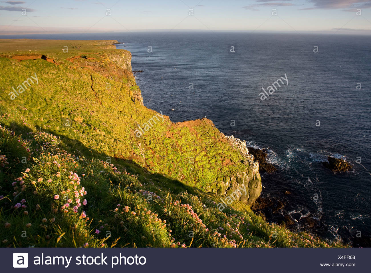 Langanes High Resolution Stock Photography and Images - Alamy