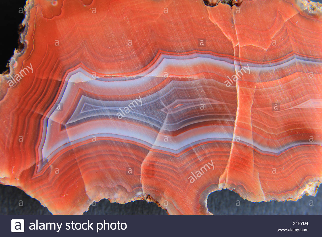 Red Agate High Resolution Stock Photography and Images - Alamy