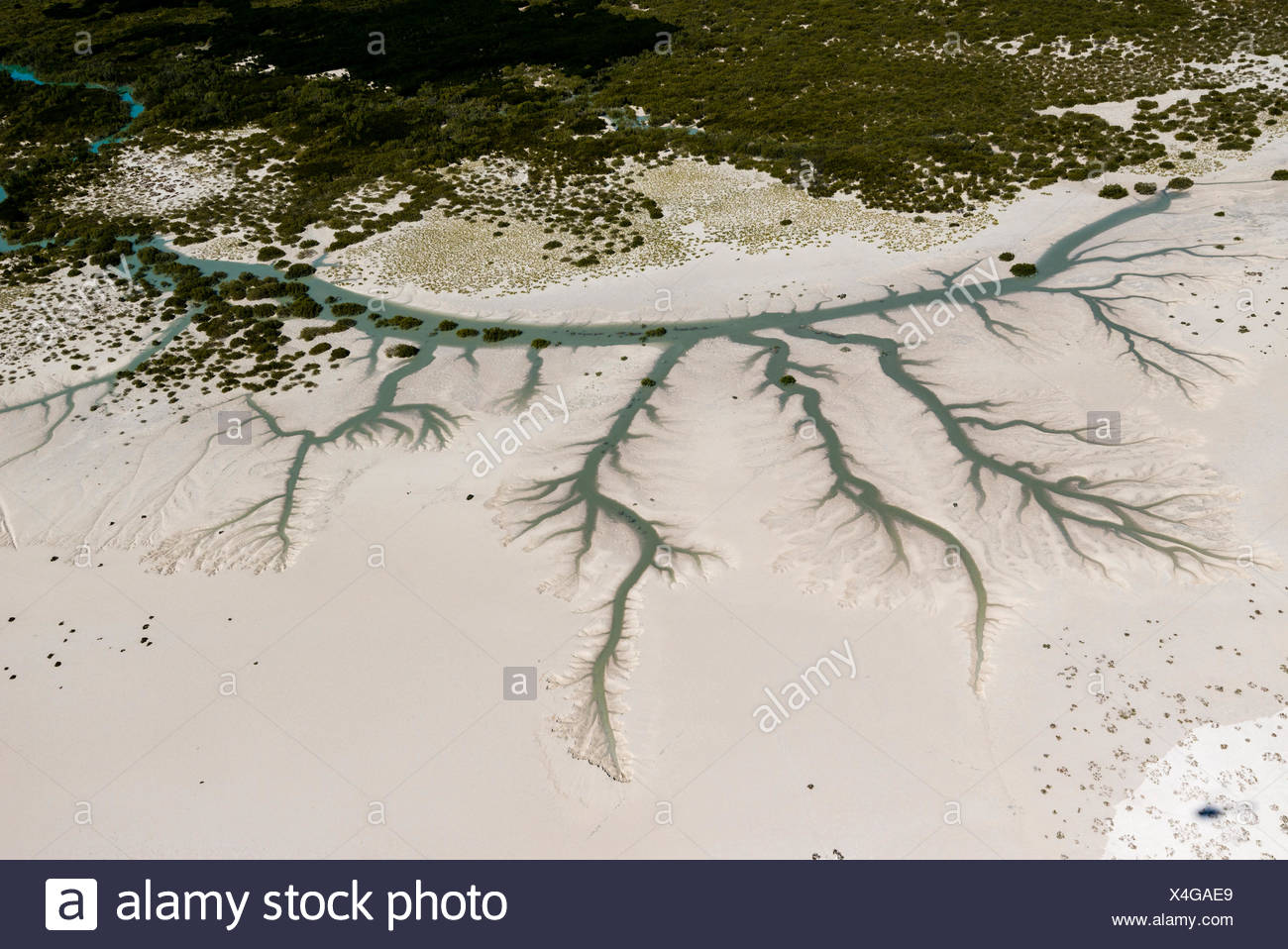 Dendritic Drainage High Resolution Stock Photography and Images - Alamy