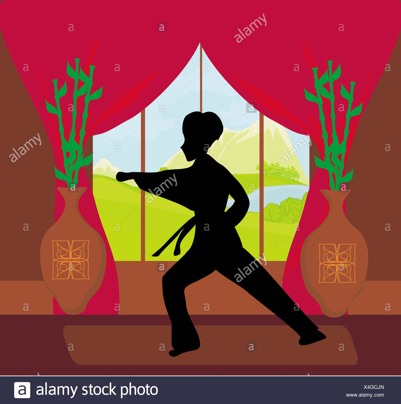 Karate Shadow High Resolution Stock Photography and Images - Alamy
