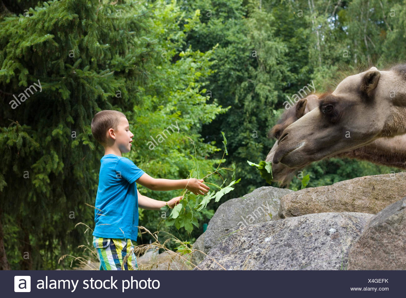 Zoo Keeper Child Stock Photos & Zoo Keeper Child Stock Images - Alamy