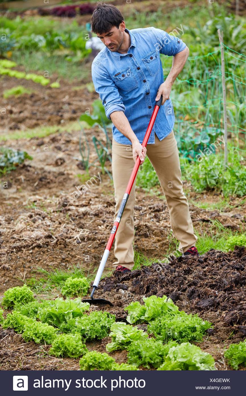 Hoe Soil High Resolution Stock Photography and Images - Alamy