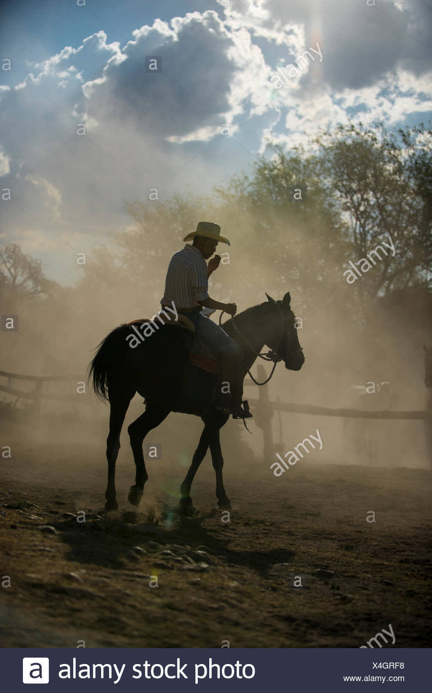 Mexican Cowboy And Horse High Resolution Stock Photography and Images ...