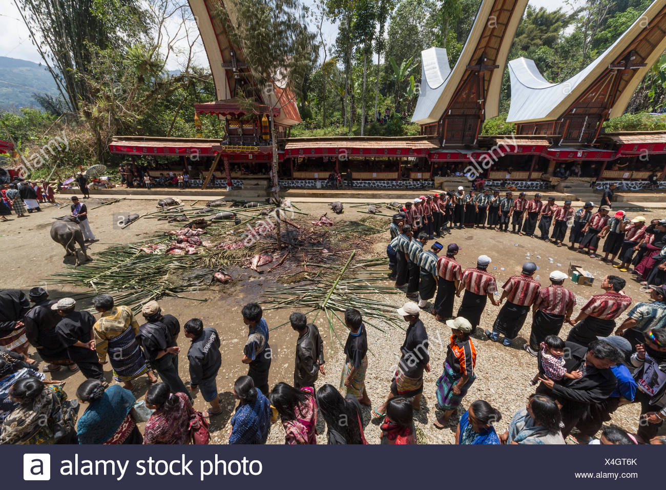 Animism Stock Photos & Animism Stock Images - Alamy