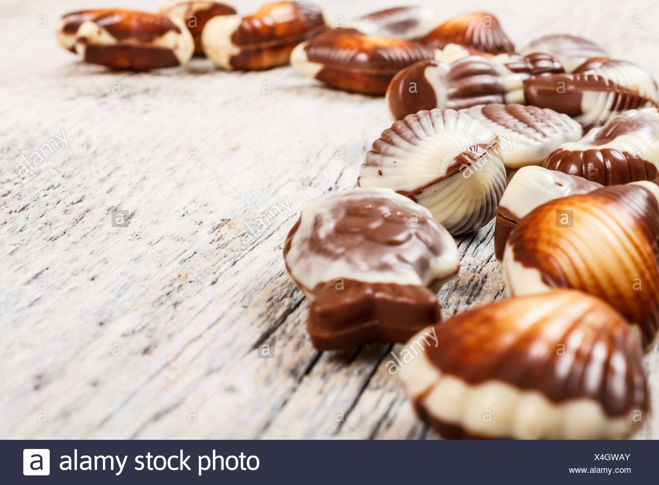 Belgian Chocolate Seashells High Resolution Stock Photography and ...