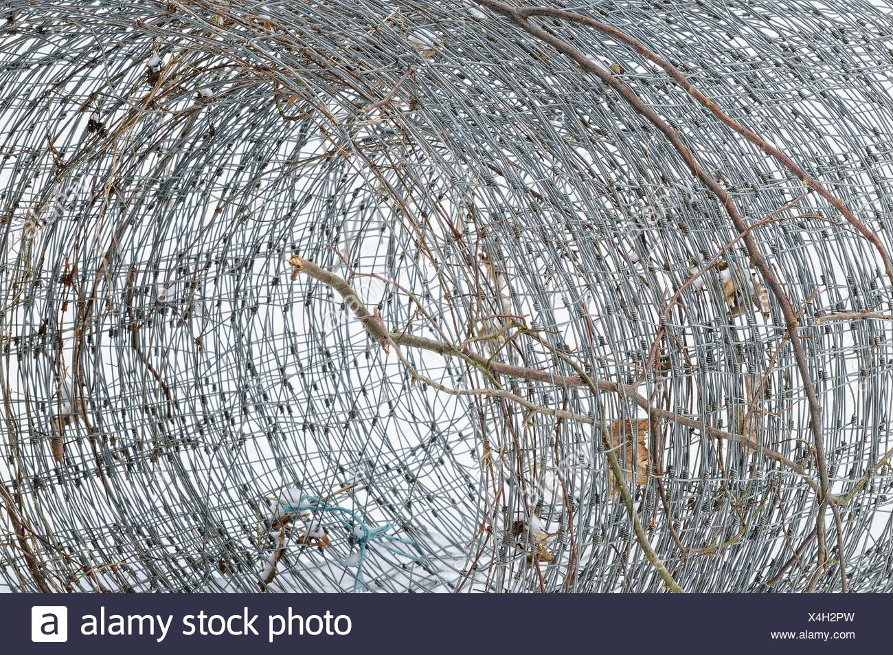 Rolled Up Reel High Resolution Stock Photography and Images - Alamy