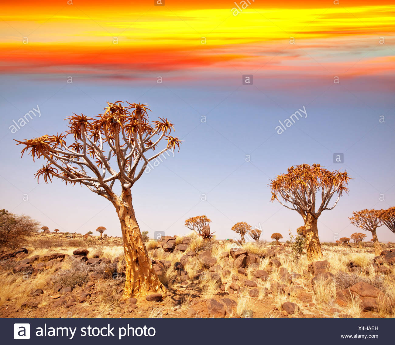 African Landscapes High Resolution Stock Photography and Images - Alamy