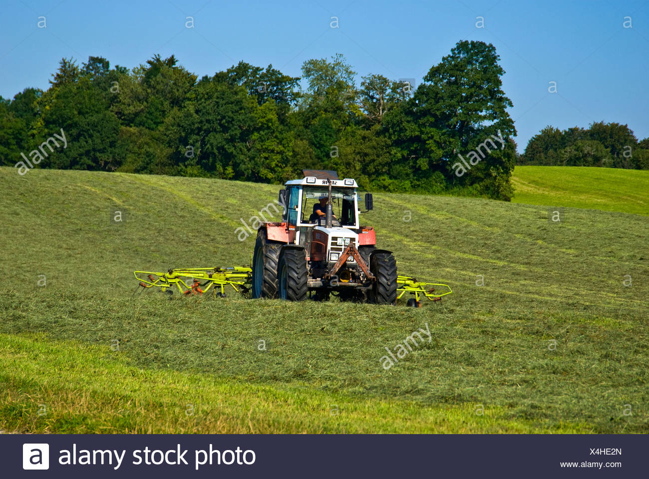 Hay Making Haymaking High Resolution Stock Photography and Images - Alamy