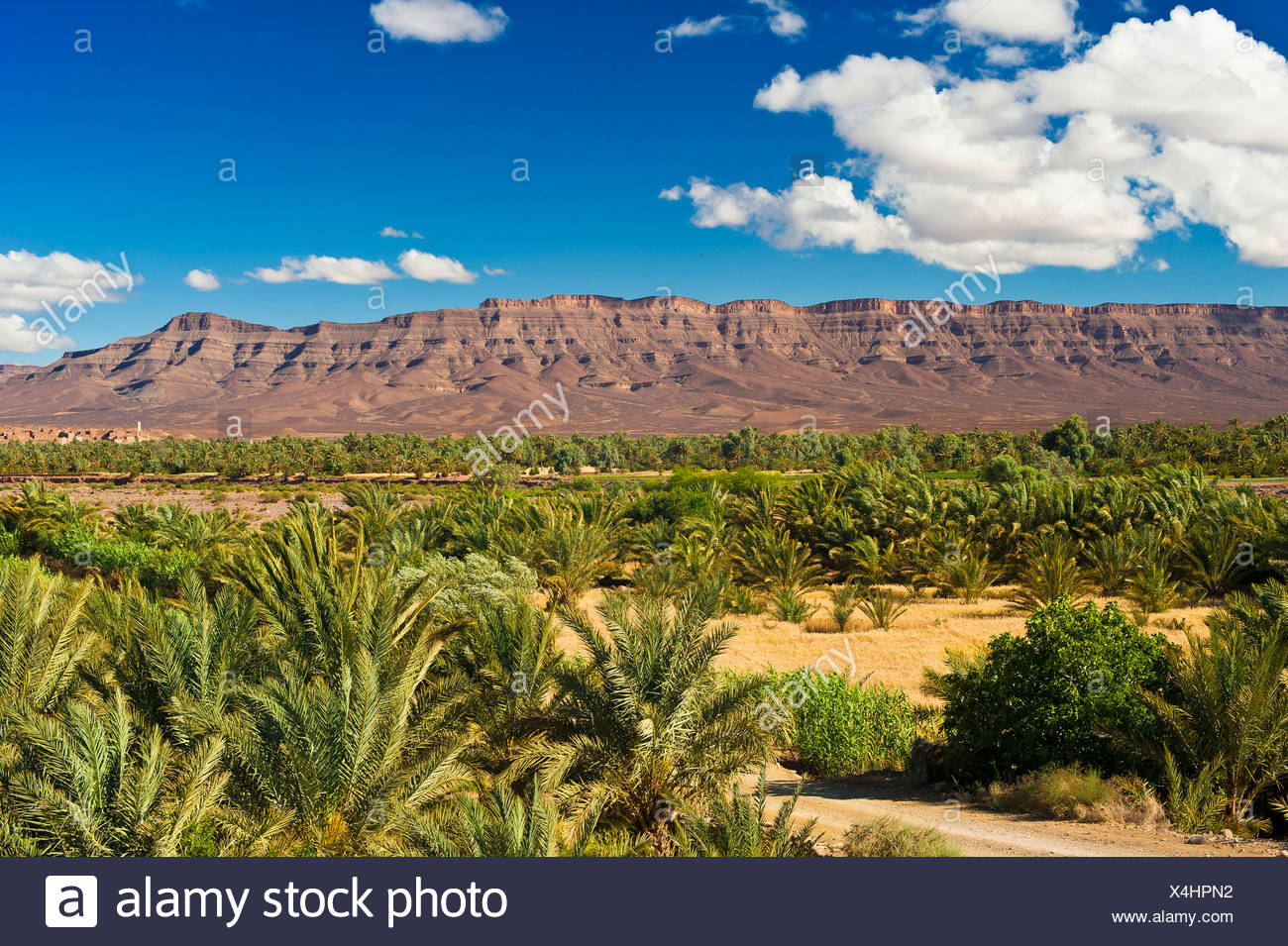 Draa Valley River High Resolution Stock Photography and Images - Alamy