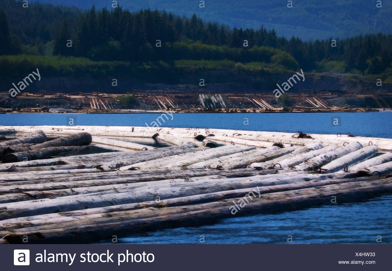 Log Driving Stock Photos & Log Driving Stock Images - Alamy
