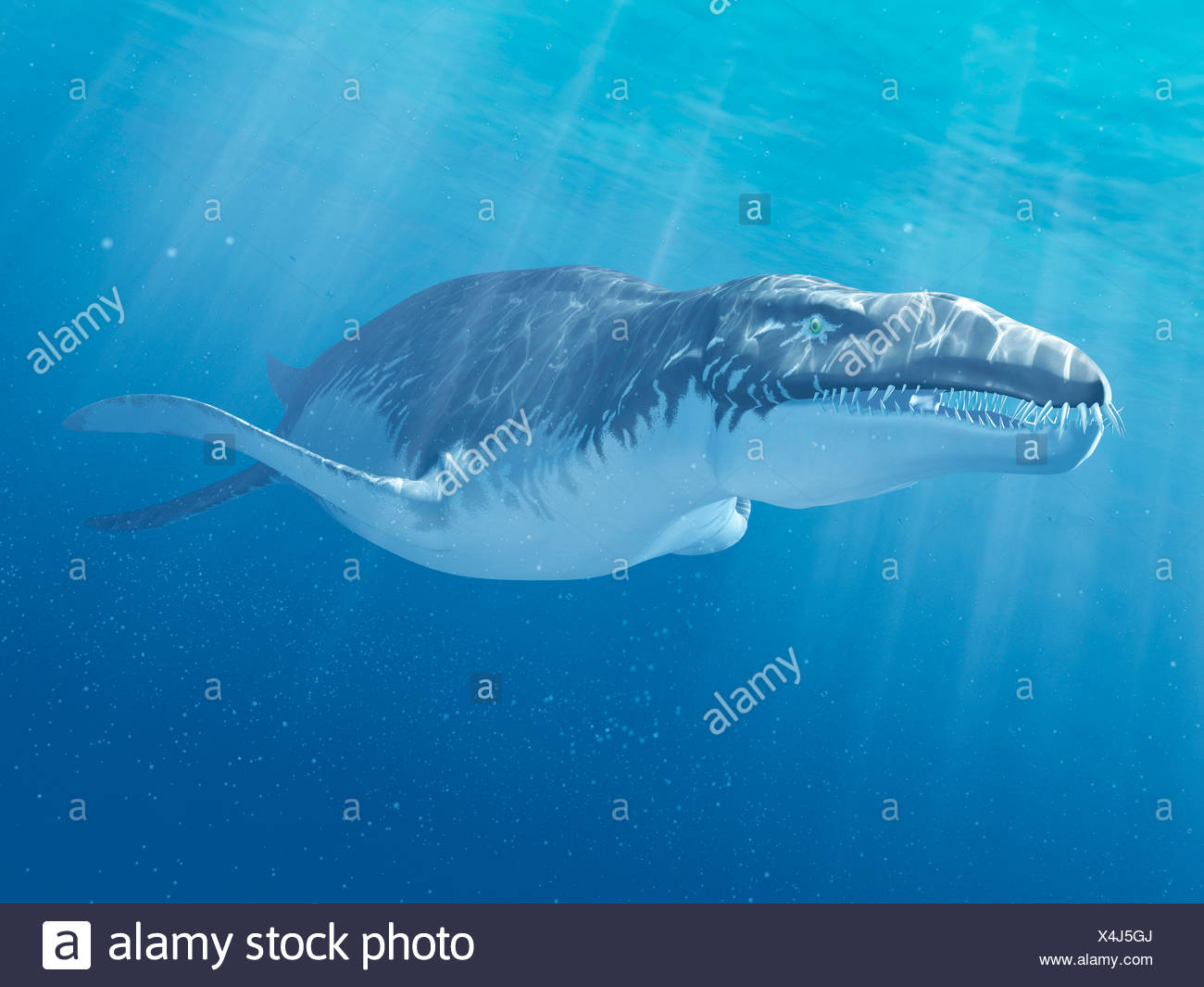 Liopleurodon High Resolution Stock Photography and Images - Alamy