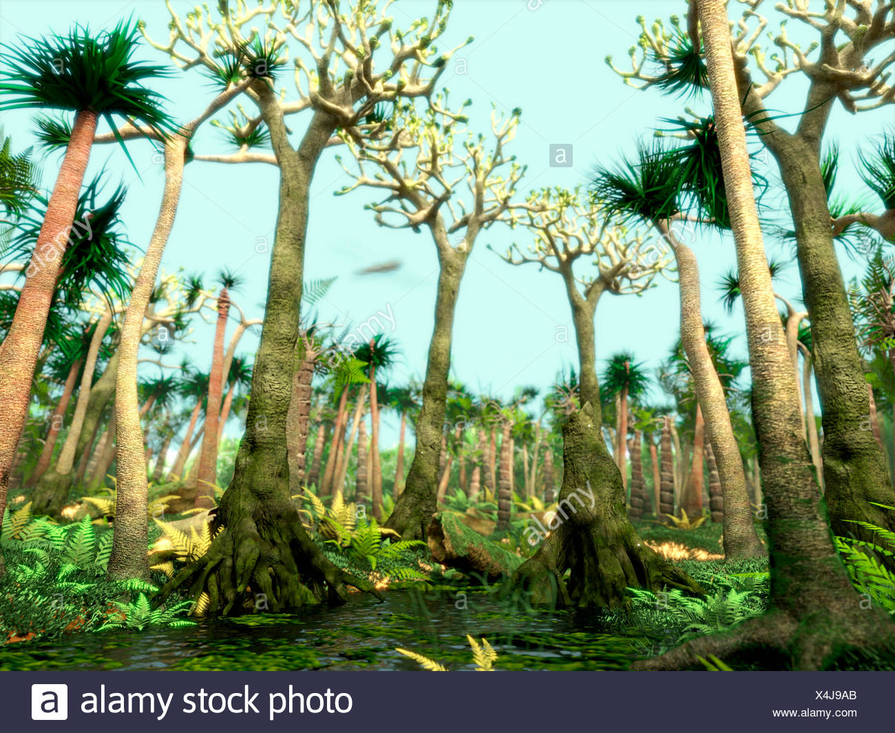 Carboniferous Forest Illustration Stock Photos & Carboniferous Forest ...