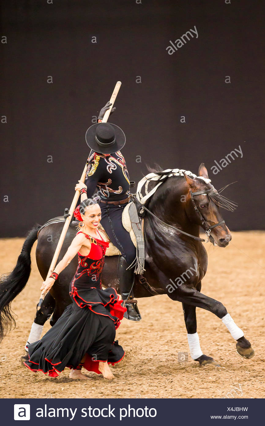 Andalusian Dancing Horse Stock Photos & Andalusian Dancing Horse Stock ...