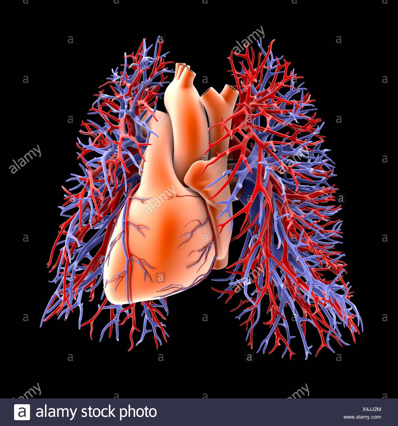 Coloured Pumps High Resolution Stock Photography and Images - Alamy