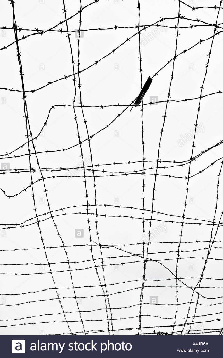 Asian Ceiling High Resolution Stock Photography and Images - Alamy