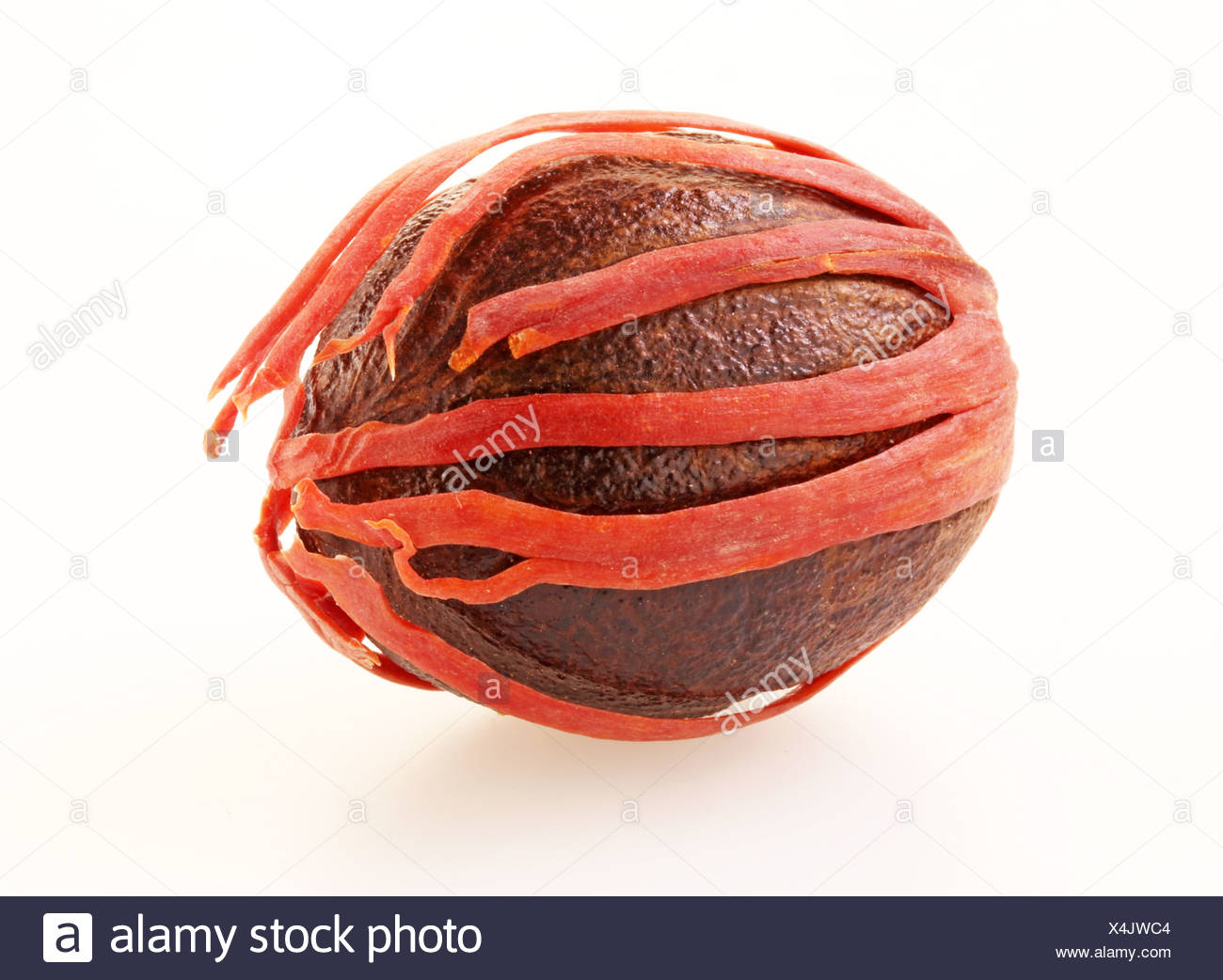 Mace Stock Photos & Mace Stock Images - Alamy