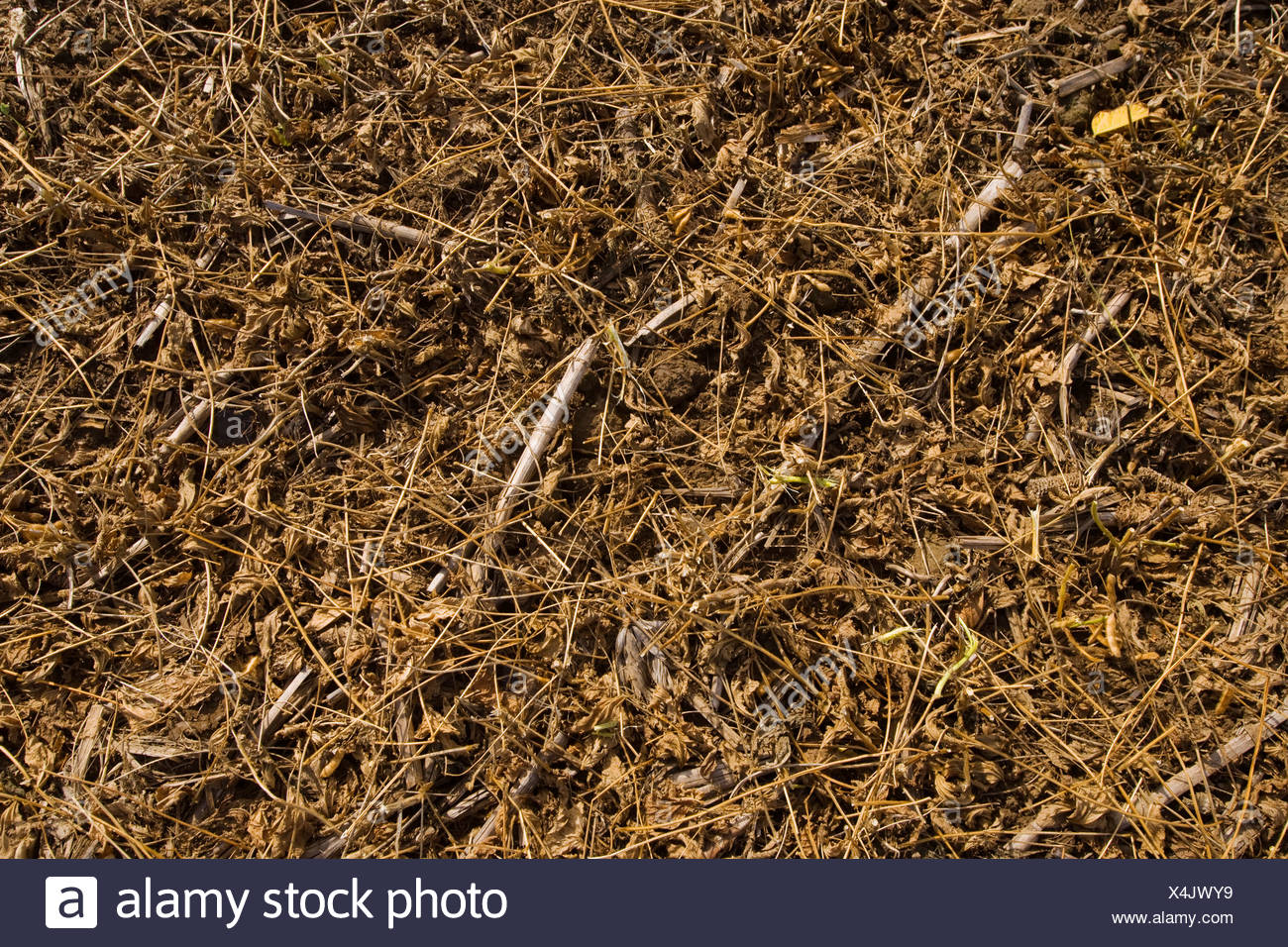 Crop Residue Stock Photos & Crop Residue Stock Images - Alamy